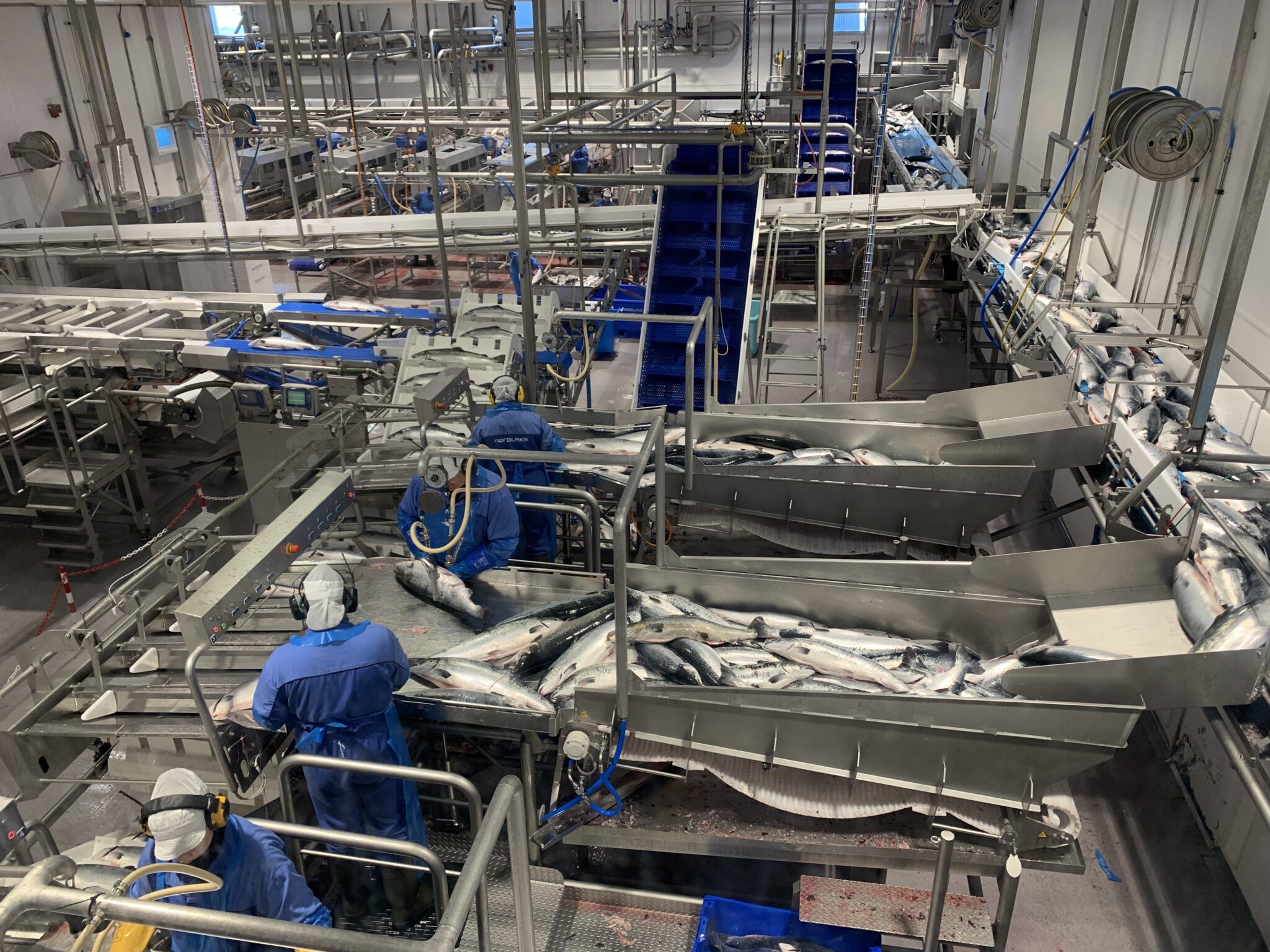 Case Study: Influencer Campaign for Norwegian Seafood